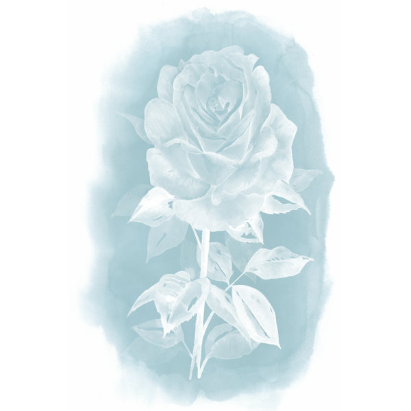 Rosalind Wheeler Ghost Rose I - Wrapped Canvas Print | Wayfair.co.uk