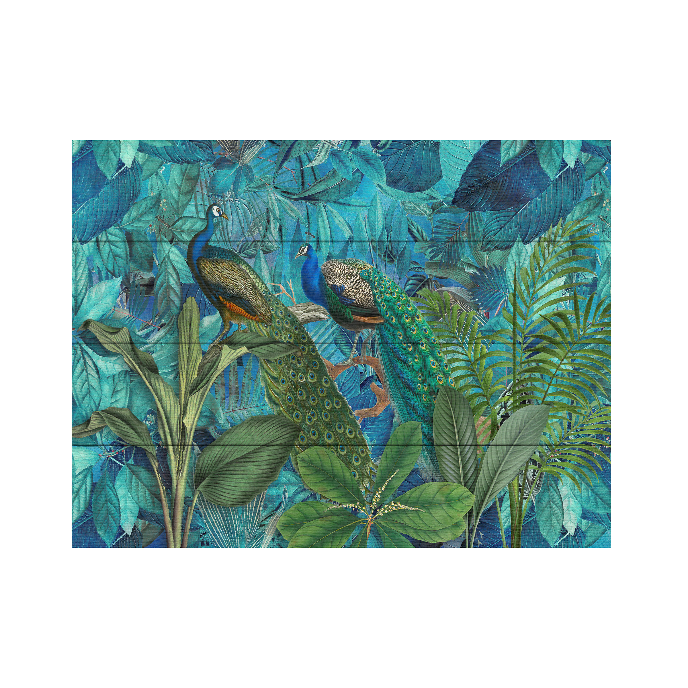 Winston Porter Andrea Haase Jungle Birds Garden No1 Wood Slat Art ...