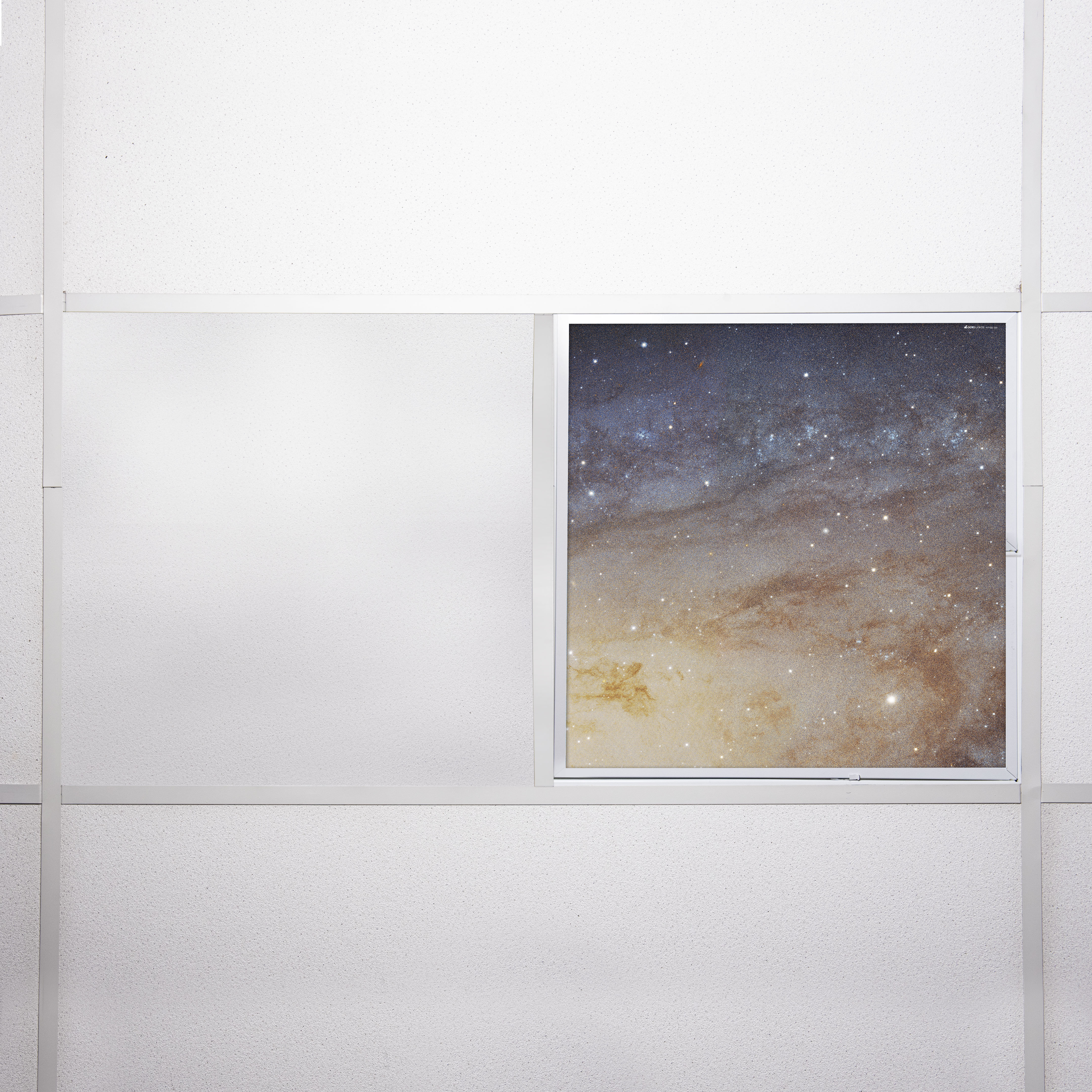 Octo Lights - Fluorescent Light Covers - Flexible Decorative Light ...