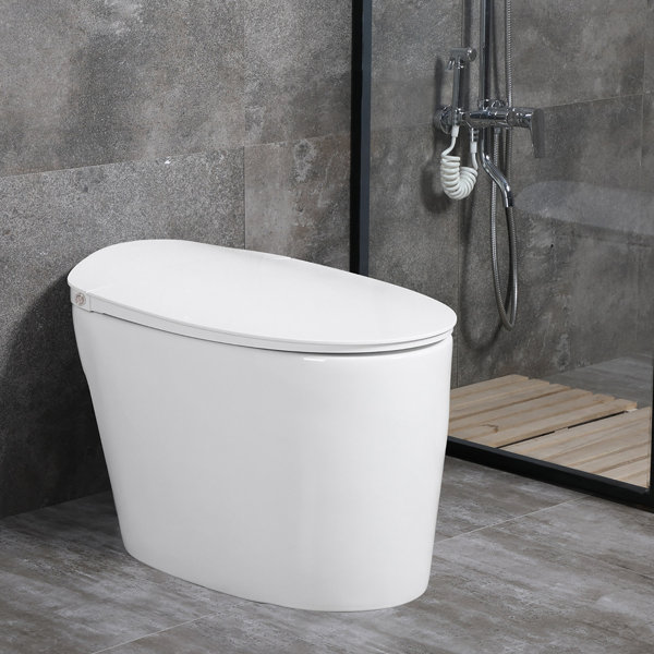 Wing Elongated One Piece Toilet Water-Saving - Wayfair Canada