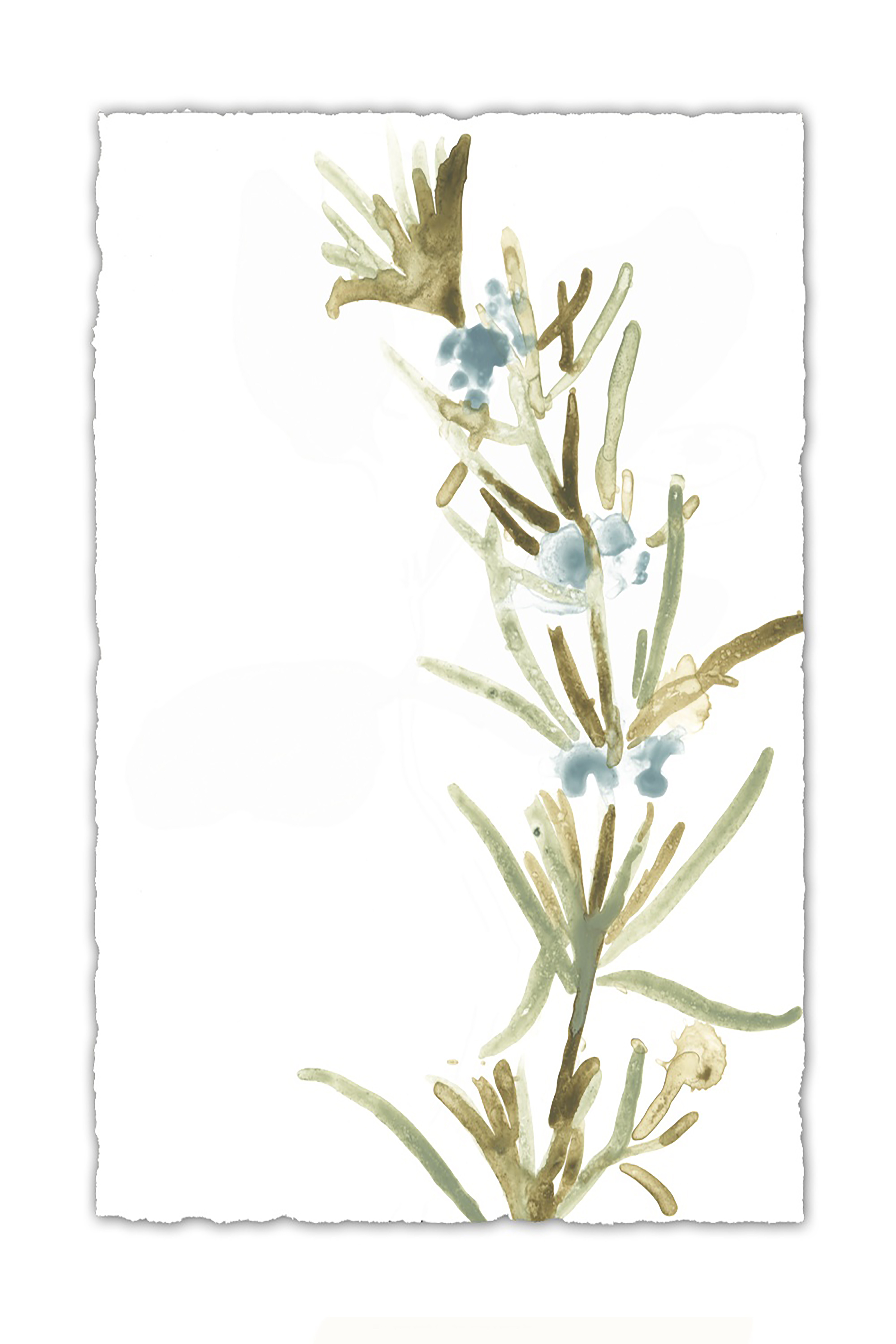 August Grove Earthtone Herbs III by June Erica Vess - Painting ...
