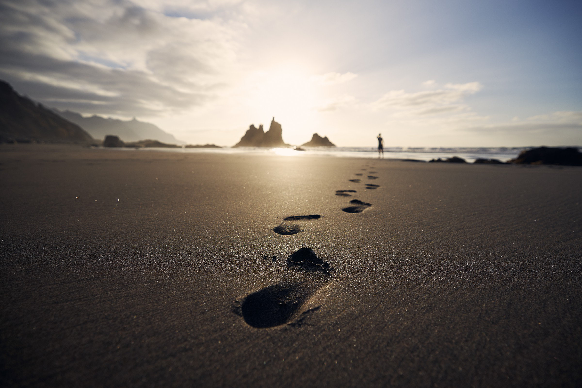 Highland Dunes Footprints In Sand - Wayfair Canada