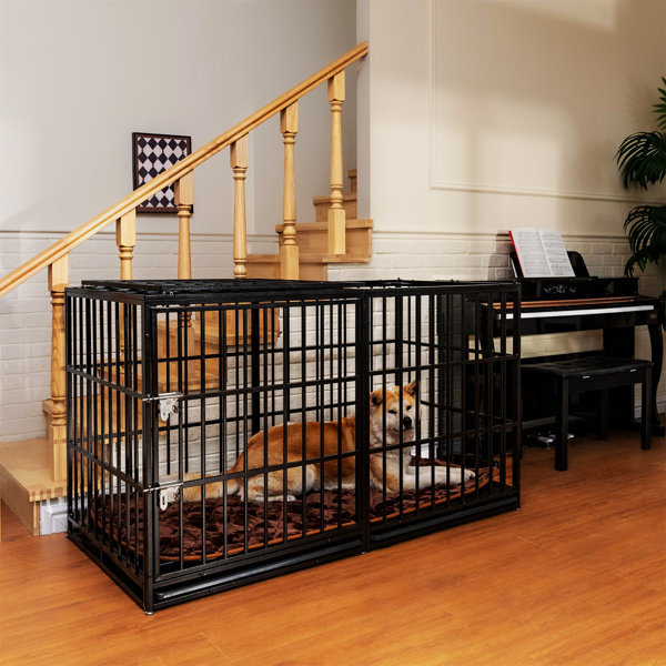 17 Stories 61" Extra Large Metal Heavy Duty Dog Crate Dog Cage Strong ...