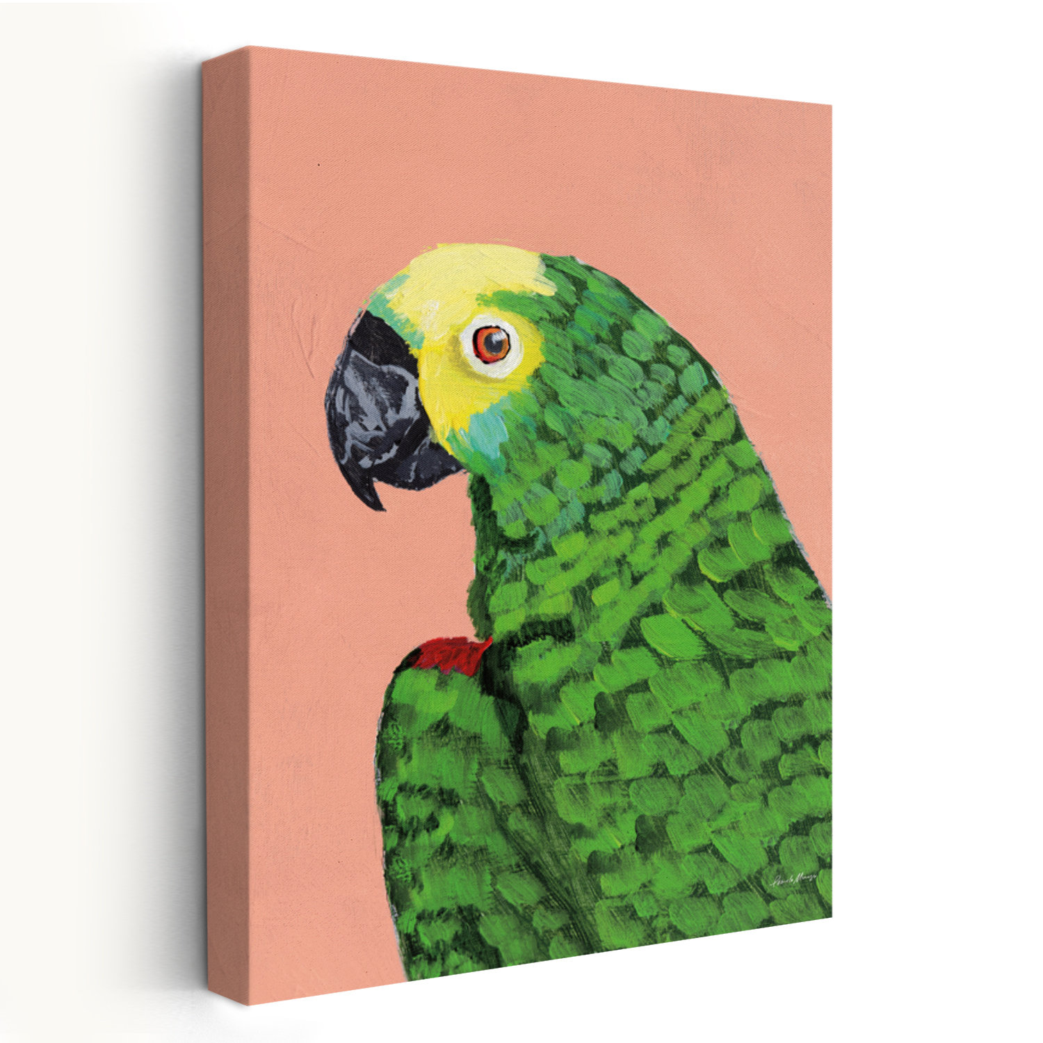 Bayou Breeze Parrot Head - Animals Bird Black Green - Wayfair Canada