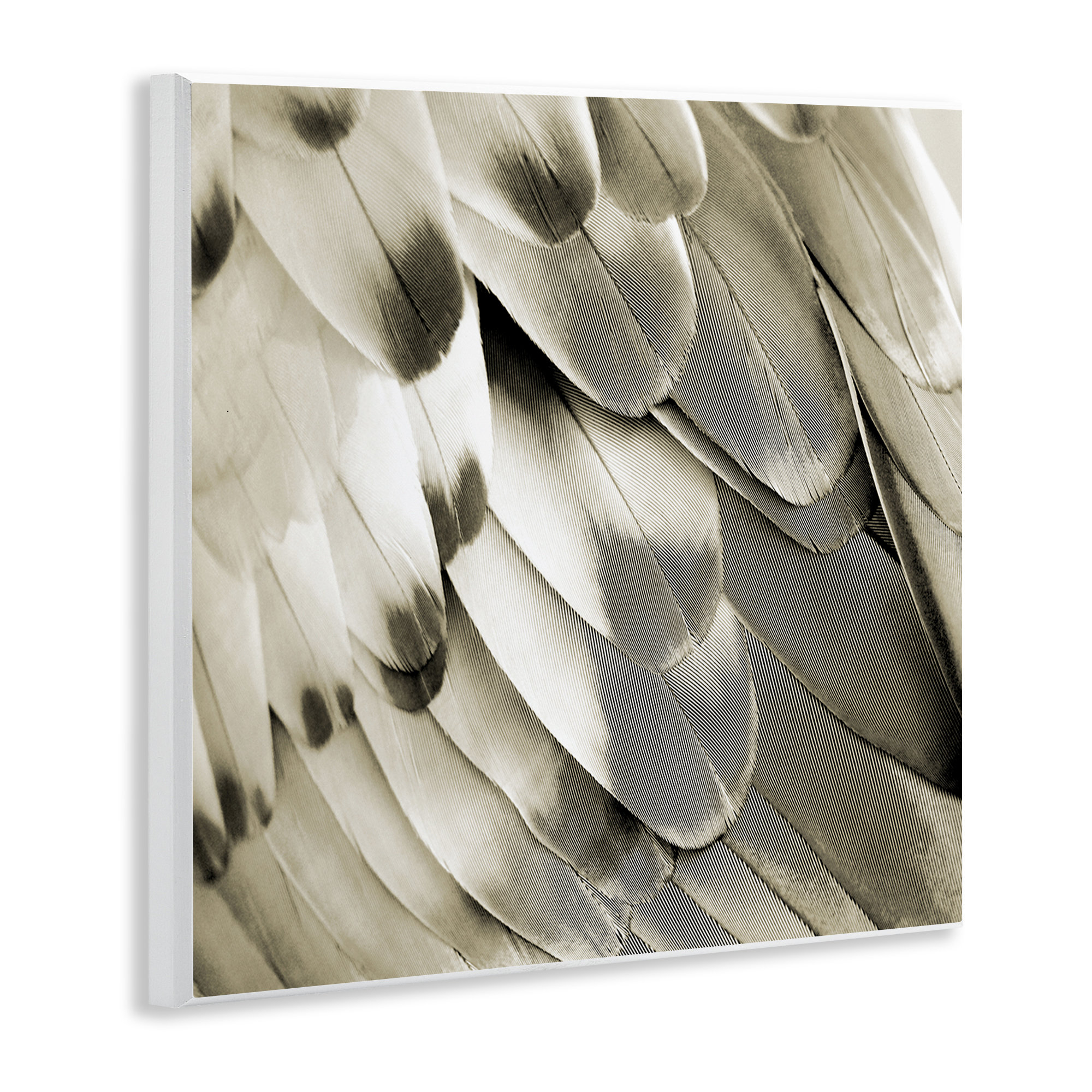 Ebern Designs Sleek Wing Feathers Wall Plaque Art by Julia Bosco | Wayfair