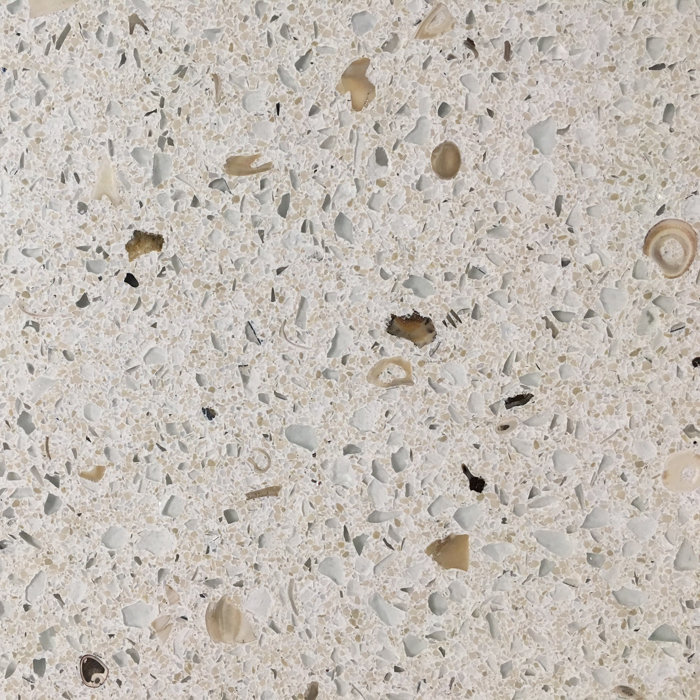 Matrix-Z SeaTile 24" x 24" Seashell Wall & Floor Tile | Wayfair