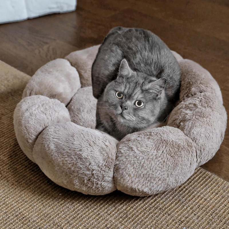 AMIZOY 20 Inches Cat Beds for Indoor Cats,Fluffy Flower Cat Bed Cute ...