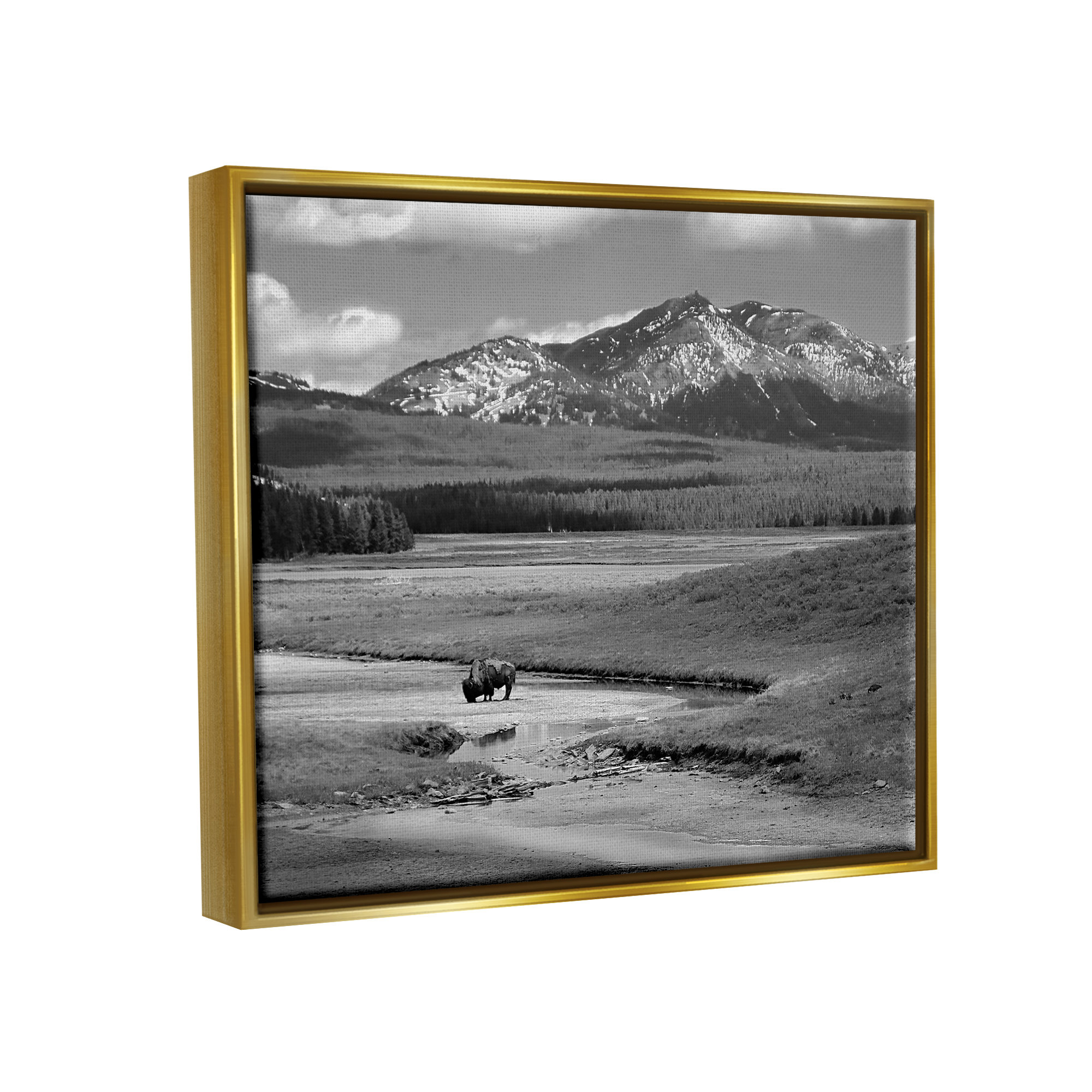 Millwood Pines Bison In Mountain Scene Framed On Canvas by Steve Toole ...