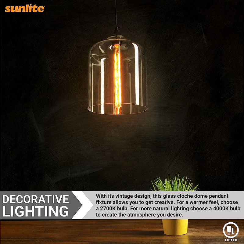 Sunshine Lighting 1 - Light Clear LED Single Pendant | Wayfair