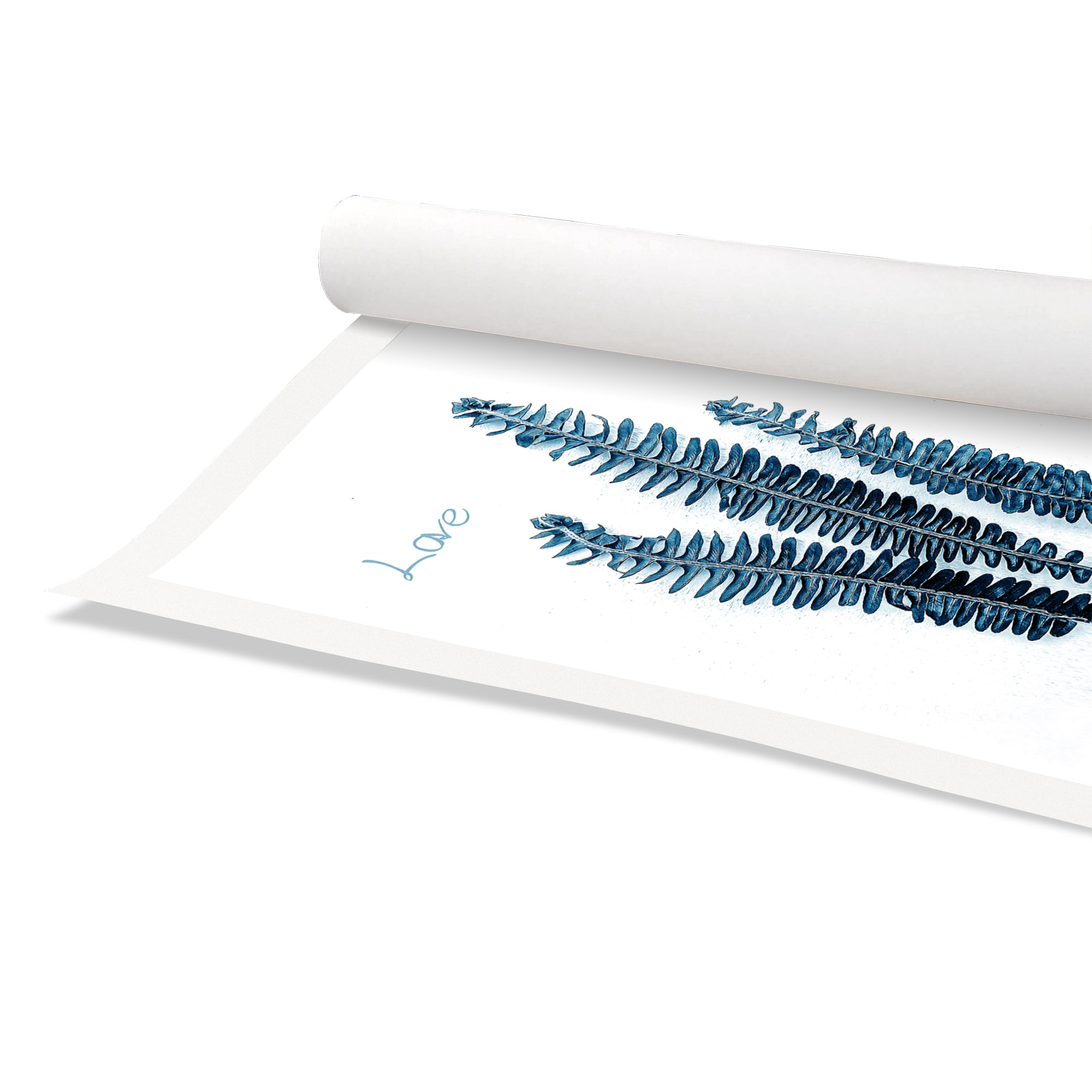 Casa Fine Arts 'Love Ferns' - Unframed Graphic Art Print on Paper | Wayfair