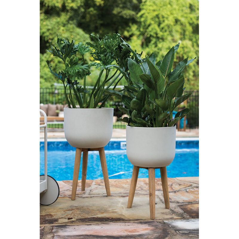 Joss & Main Luminara Plant Stand | Joss & Main
