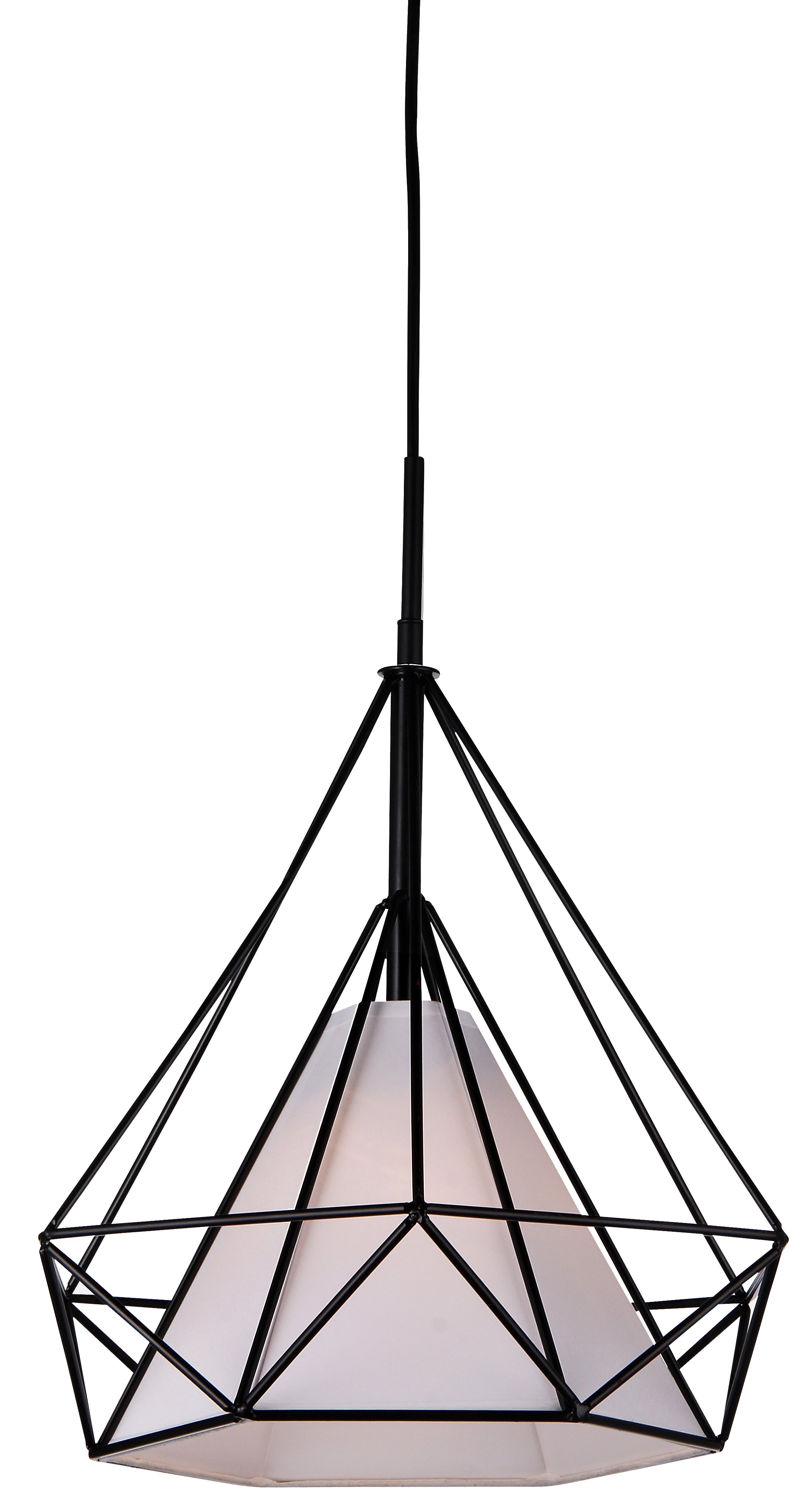 Wrought Studio™ Segers 1-Light Pendant & Reviews | Wayfair