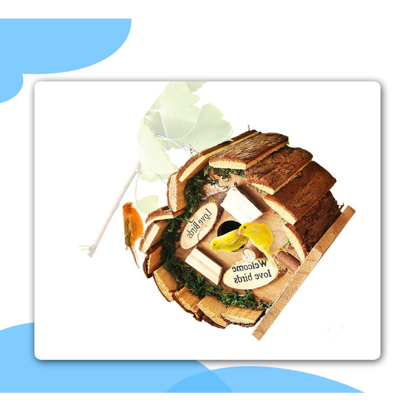 Millwood Pines Adalheida 6 in x 6 in x 3 in Birdhouse - Wayfair Canada