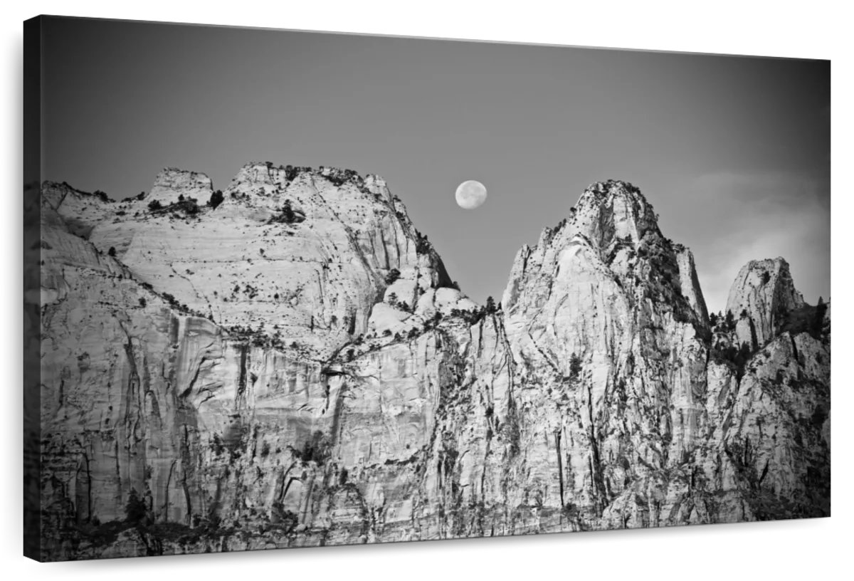 Elephant Stock Utah Moonrise BW | Wayfair
