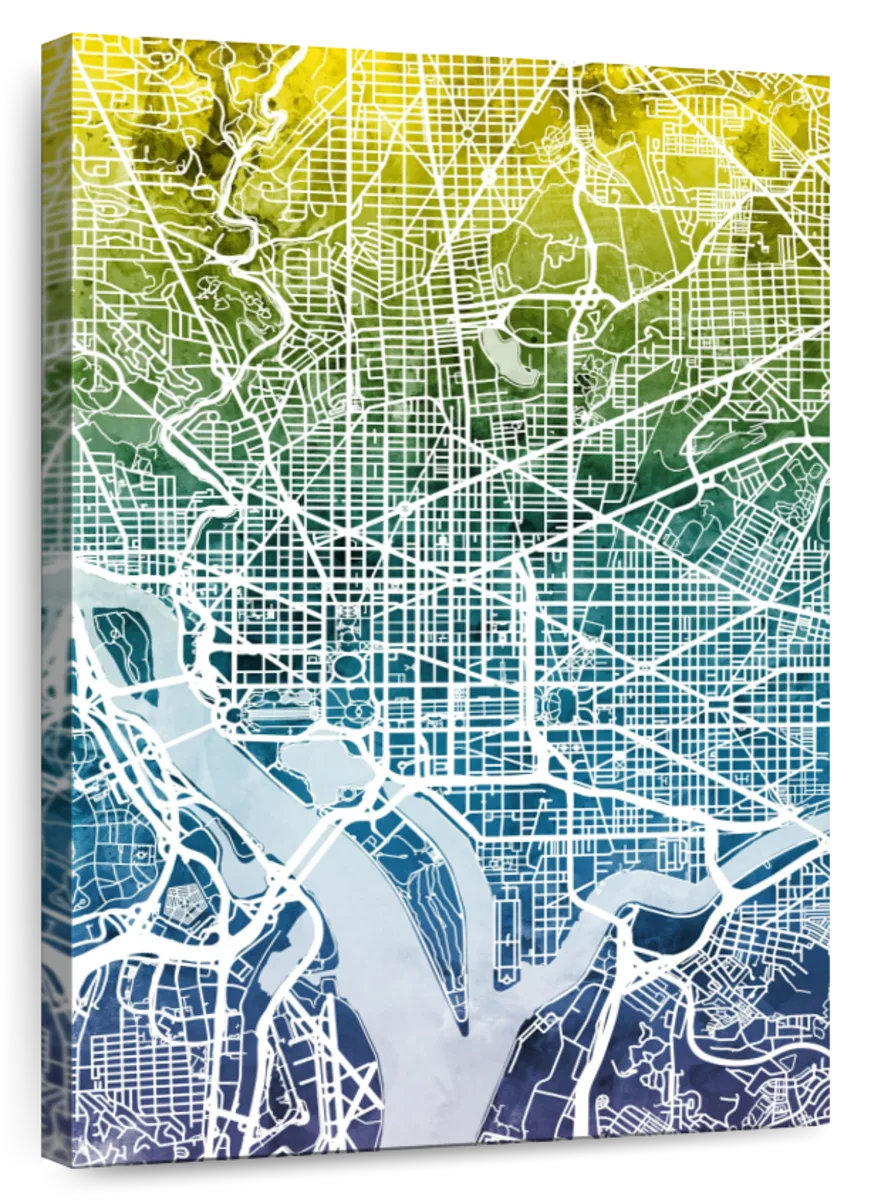 Breakwater Bay Aliaz Washington DC Street Map IV | Wayfair