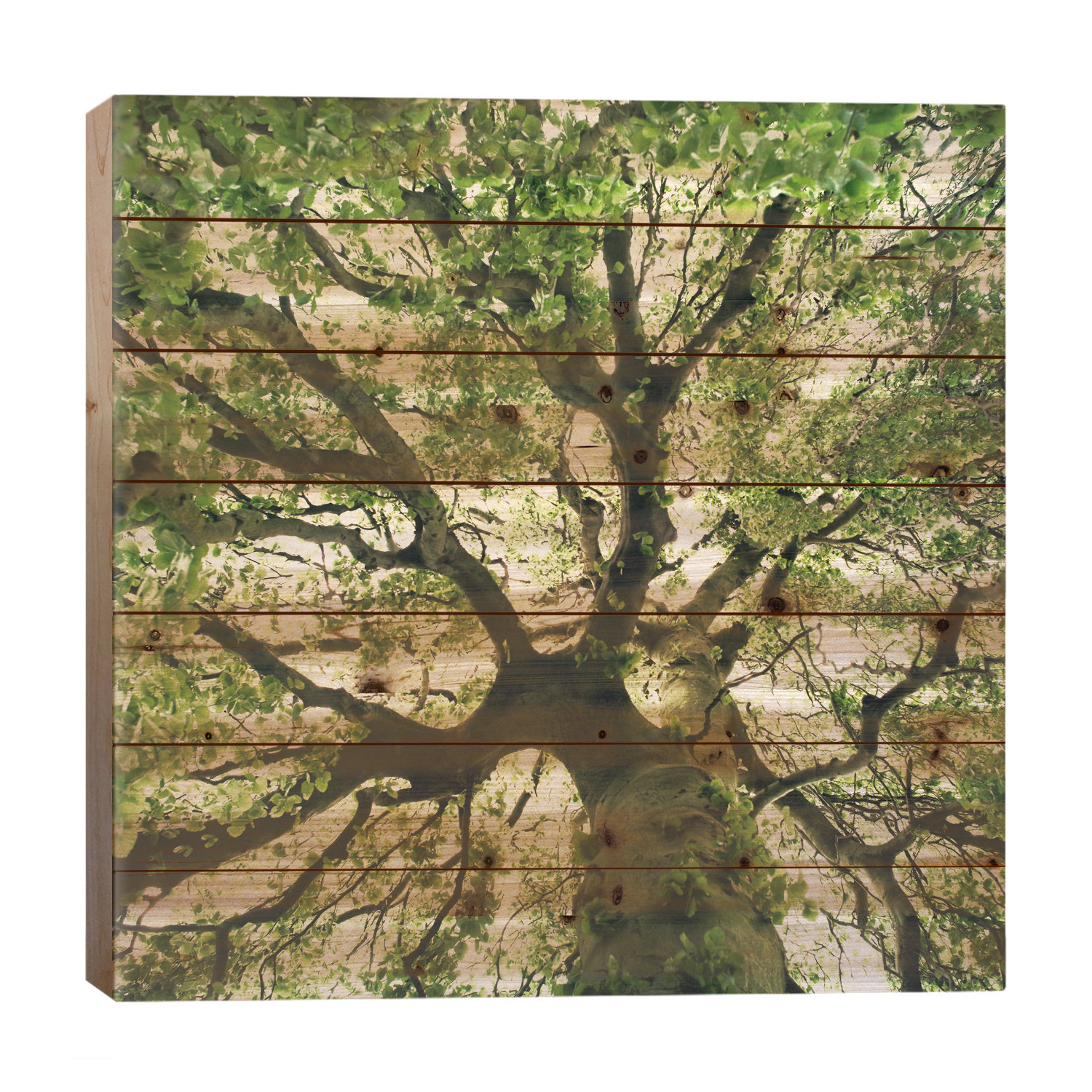 Loon Peak® " Under Your Skin " by Tordis Kayma - Wayfair Canada