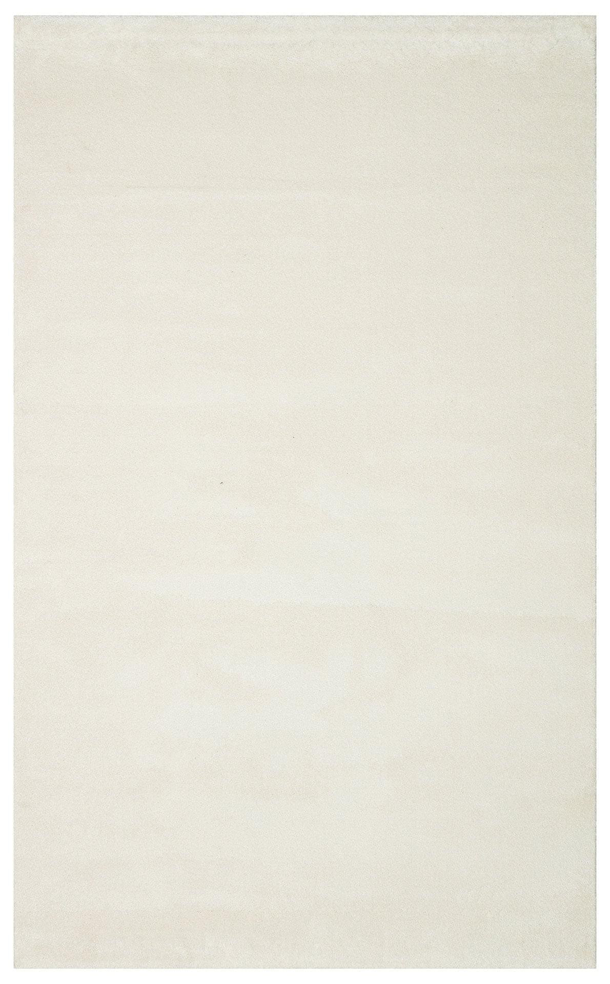 Latitude Run® Lotto Plain Area Rug | Wayfair