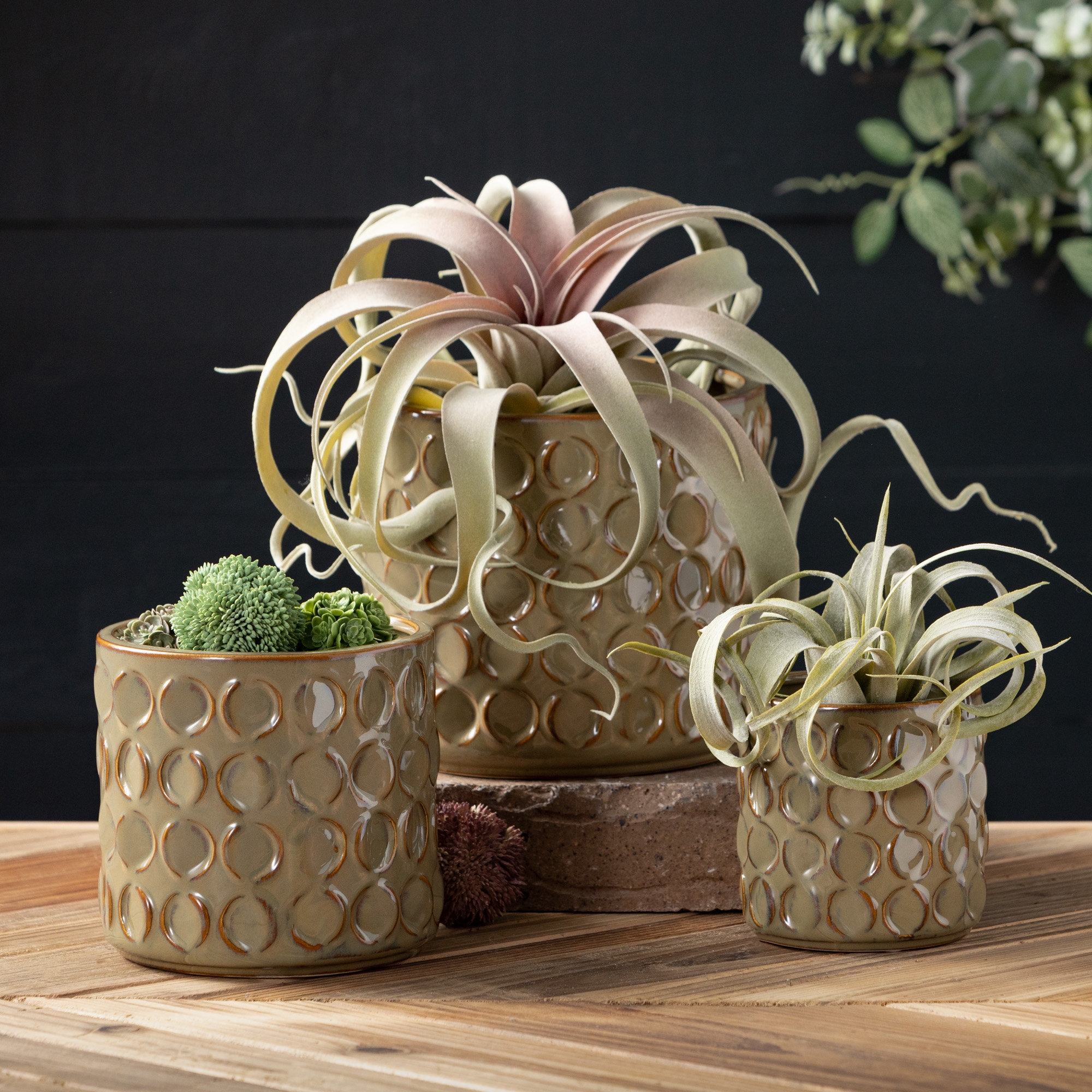 Wade Logan® Antonious 3-Piece Ceramic Pot Planter Set | Wayfair