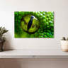 Ebern Designs Brampt Green Python Eye | Wayfair