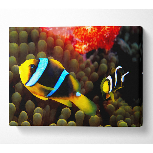 House of Hampton Neon Clown Fish - Print | Wayfair.co.uk