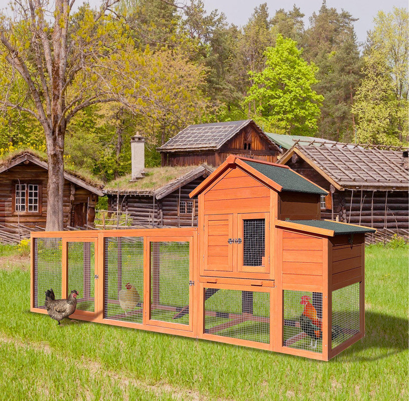 Ophelia & Co. Giant 122-Inch Wooden Poultry Cage - Complete Outdoor ...