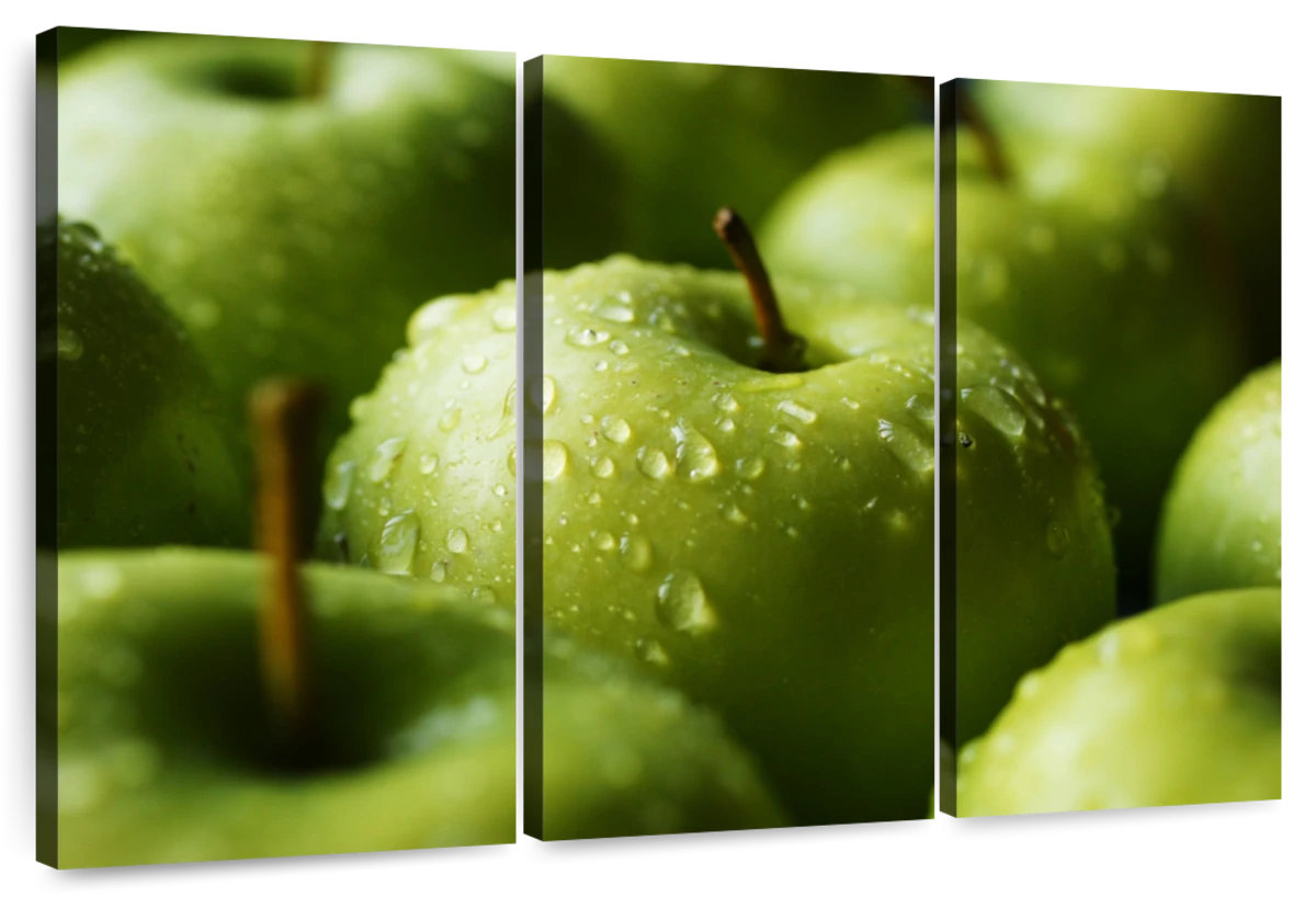 Ebern Designs Pommes Yarlin Granny Smith - Wayfair Canada