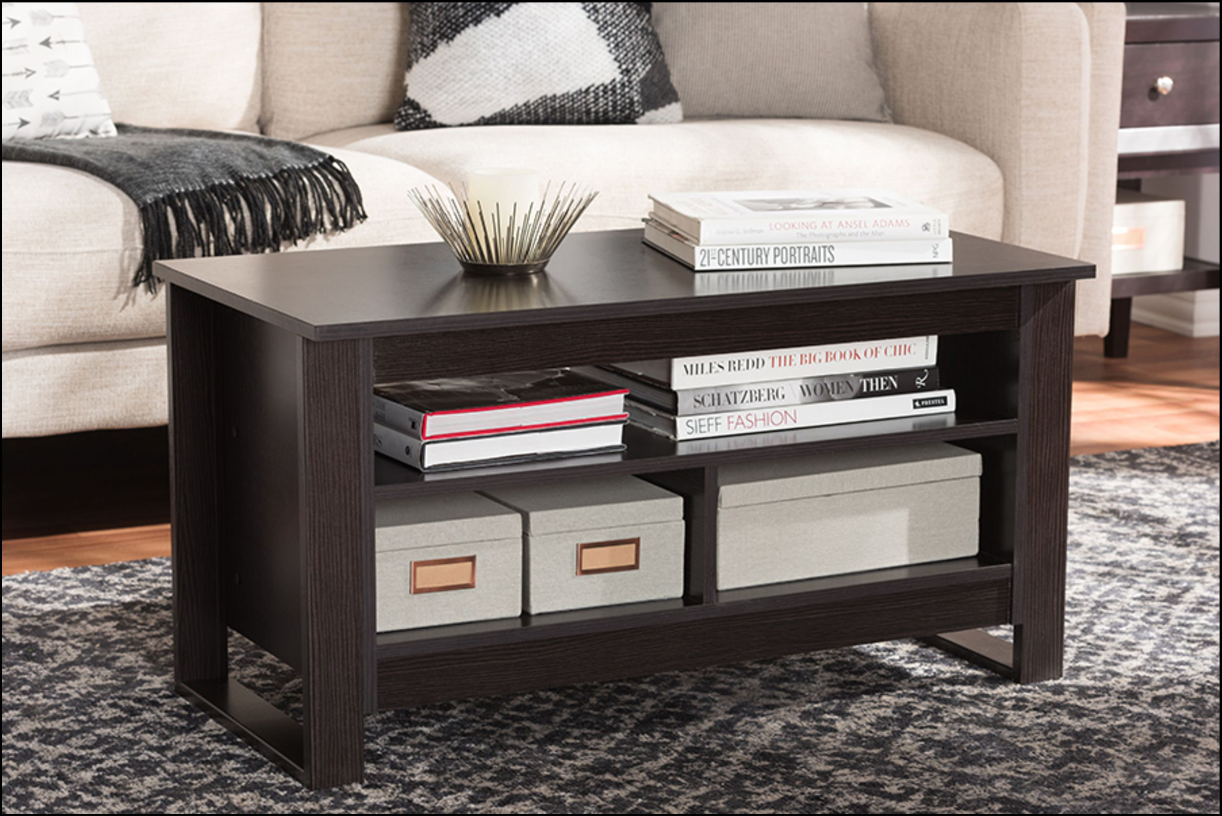 Lark Manor Northwest Sled Coffee Table with Storage & Reviews - Wayfair Canada