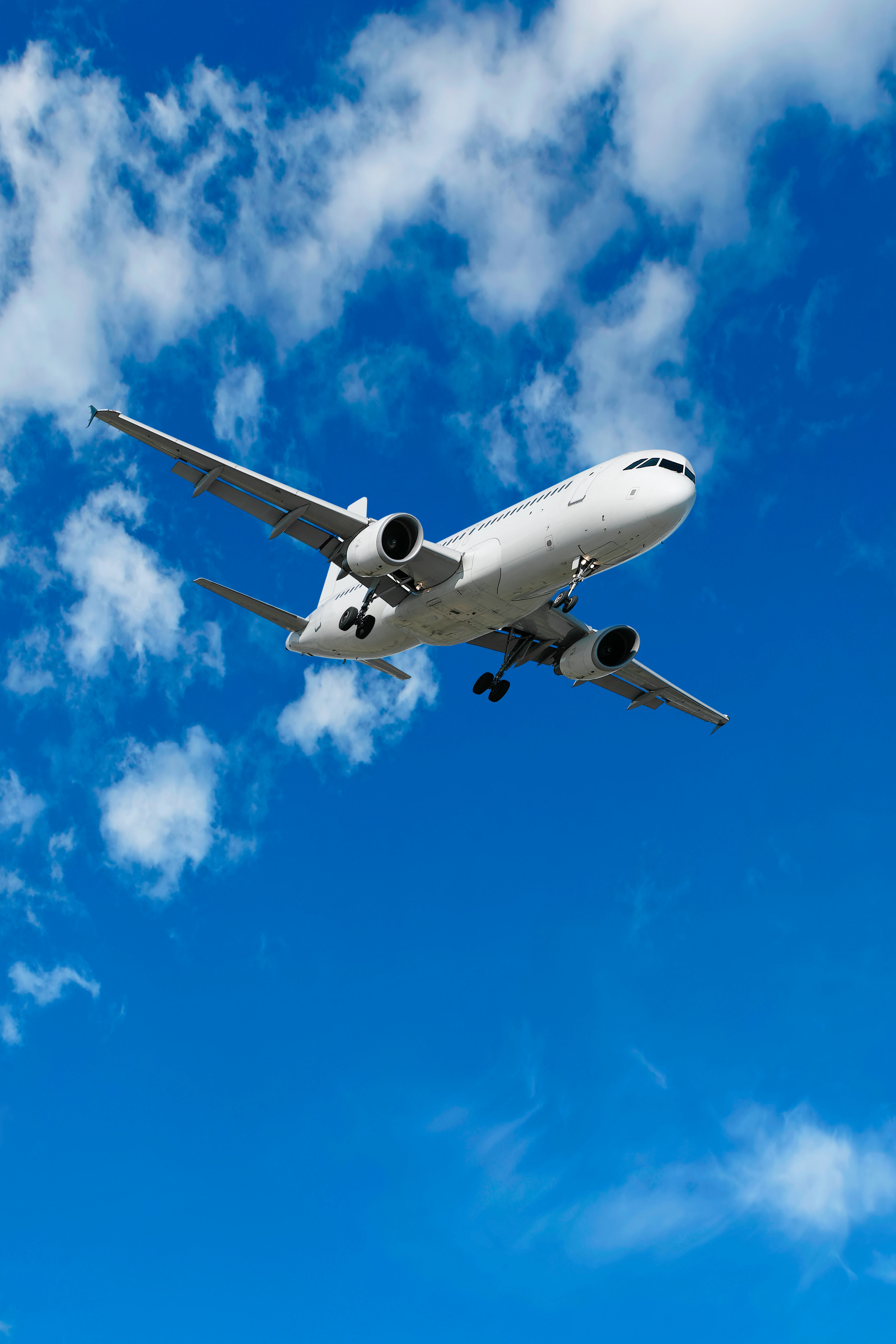 Ebern Designs Jet Airplane Landing in Bright Sky by Sharply_Done | Wayfair