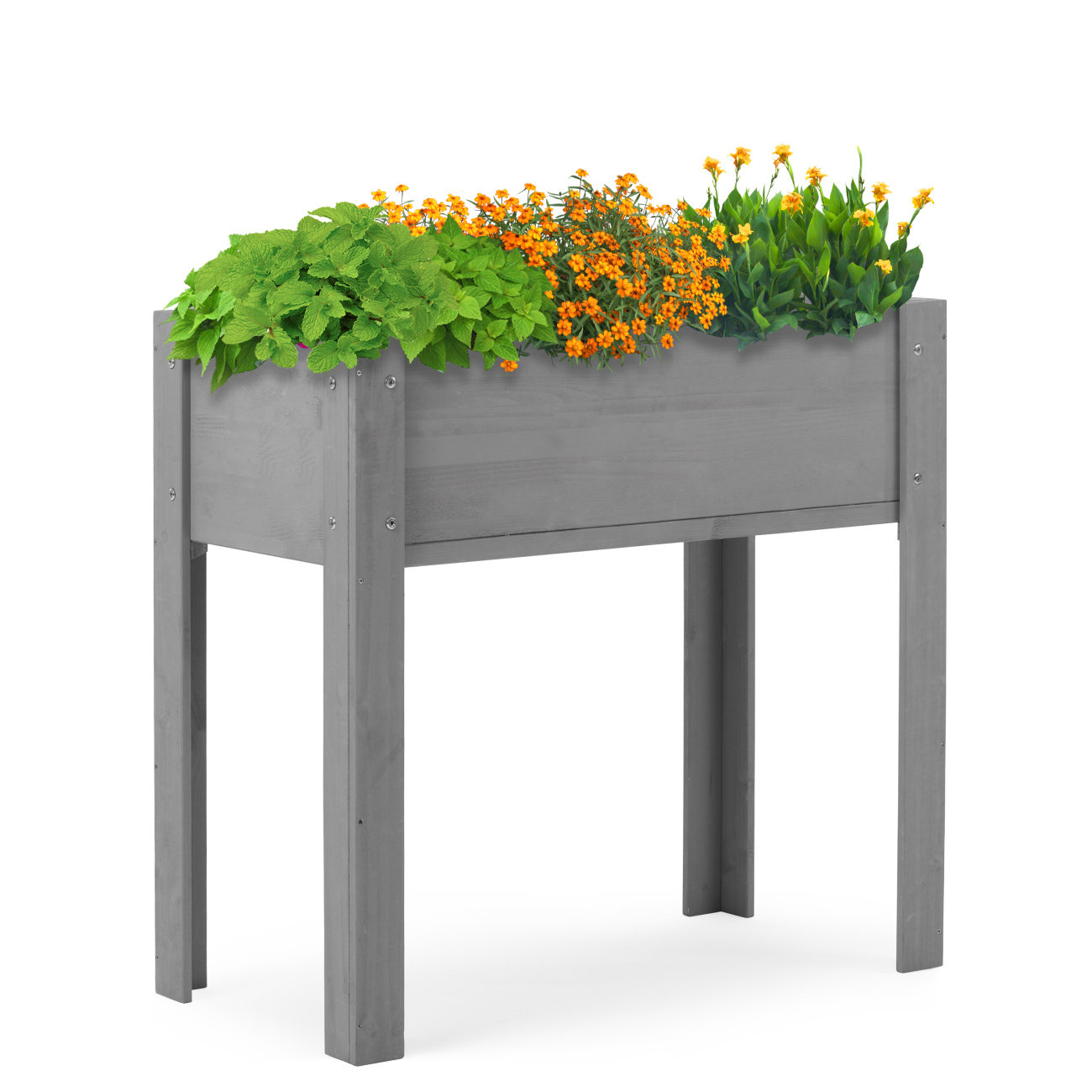 Ophelia & Co. Raised Garden Bed With Legs Elevated Wooden Planter Box ...
