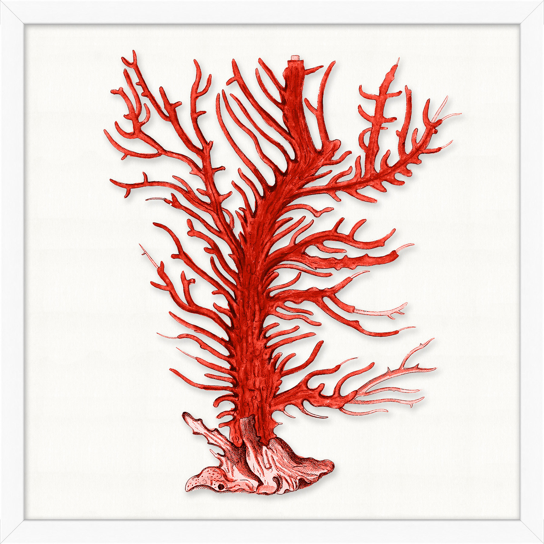 Wendover Art Group Red Branch Coral 8 By Lillian August - Picture Frame ...