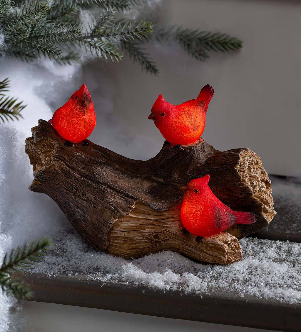 Wind & Weather Solar-Lighted Three Cardinals & Reviews | Wayfair