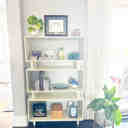 Everly Quinn Camylle Standard Bookcase & Reviews | Wayfair