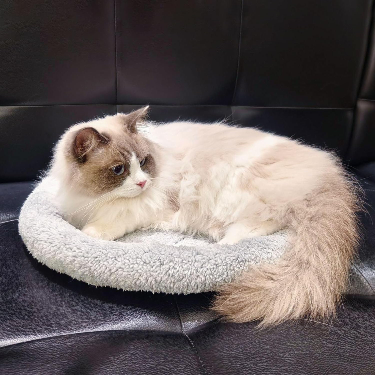 Latitude Run® Enjoying Plush Cat Bed Mat, 15.75" Round, Self Warming ...