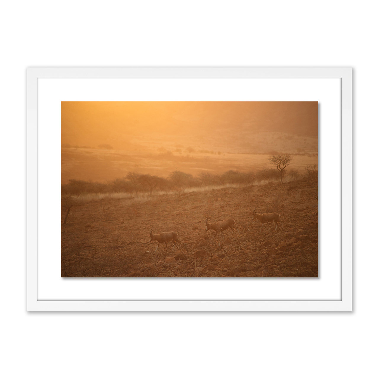 Four Hands Art Studio Into the Wild 1 by Jade Hammer - Picture Frame ...