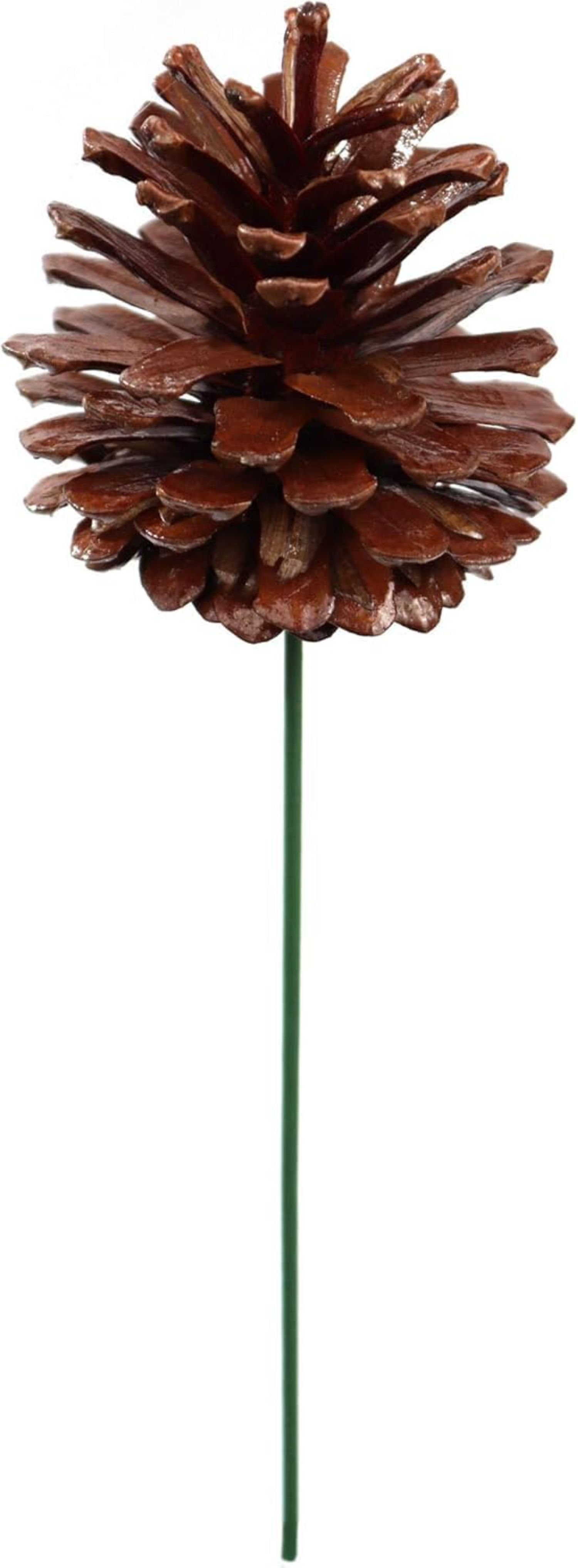 The Holiday Aisle® Set of 144 Lacquered Pine Cone Pick - Wayfair Canada