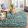 Bungalow Rose Cudney Shag Hand Woven Performance Rug & Reviews | Wayfair