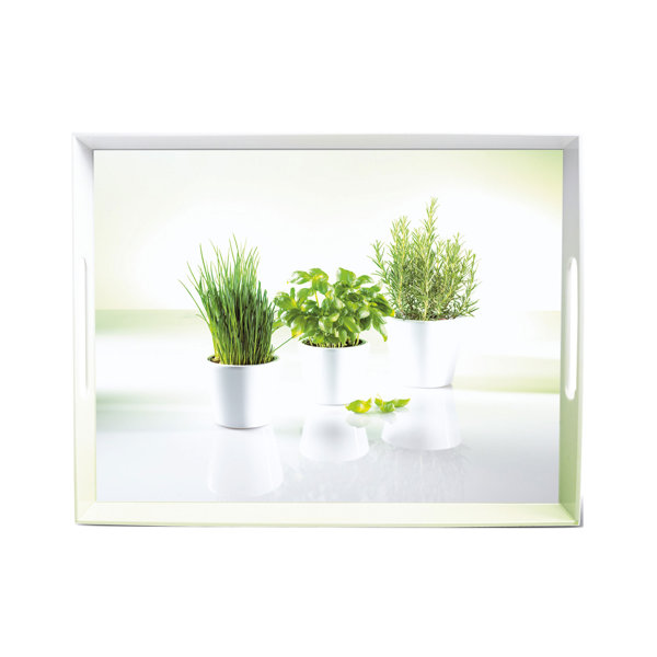 Emsa Plastic Tray | Wayfair.co.uk