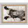 Ebern Designs Cat Nap - Single Picture Frame Print | Wayfair.co.uk
