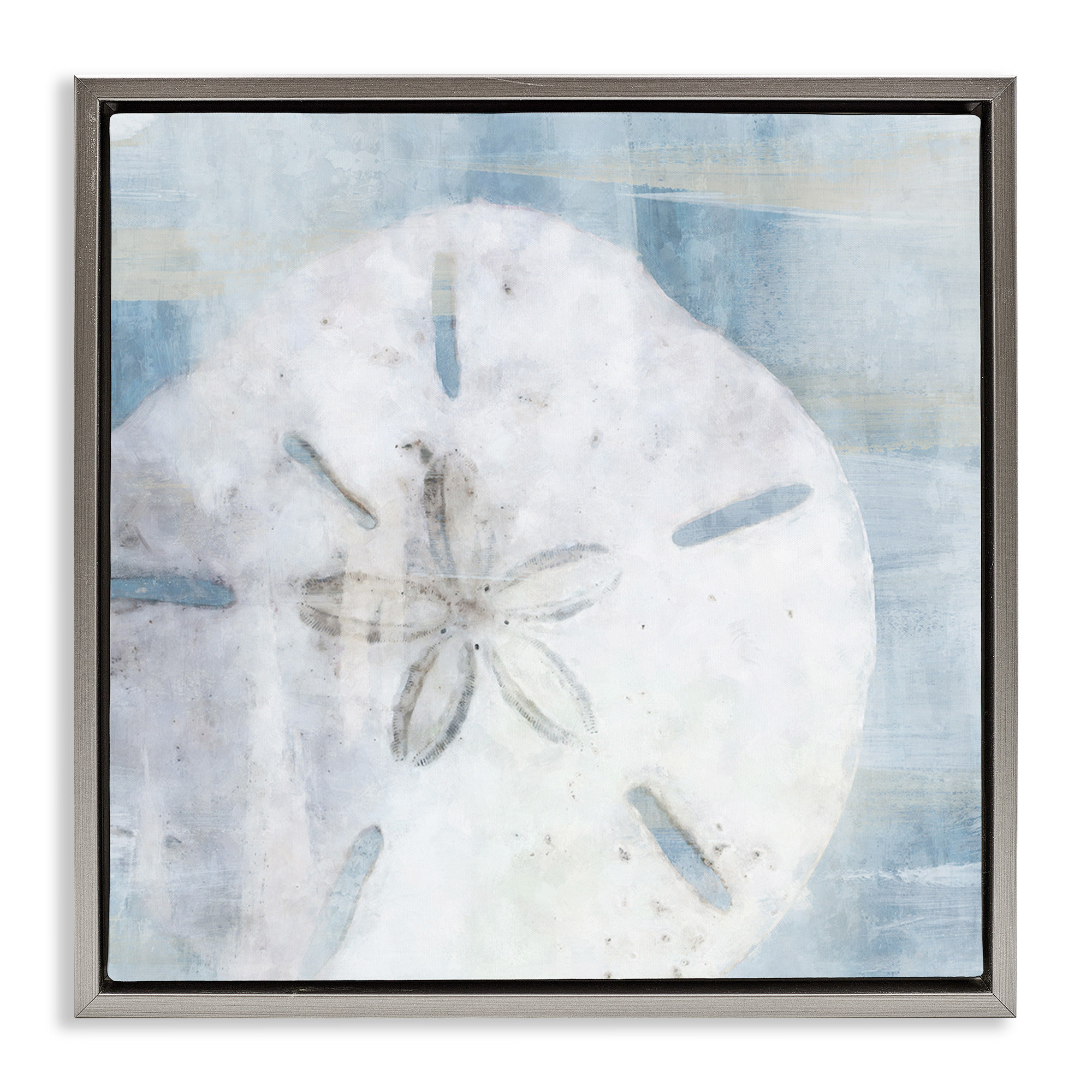 Highland Dunes Pastel Blue Sand Dollar Seashell | Wayfair