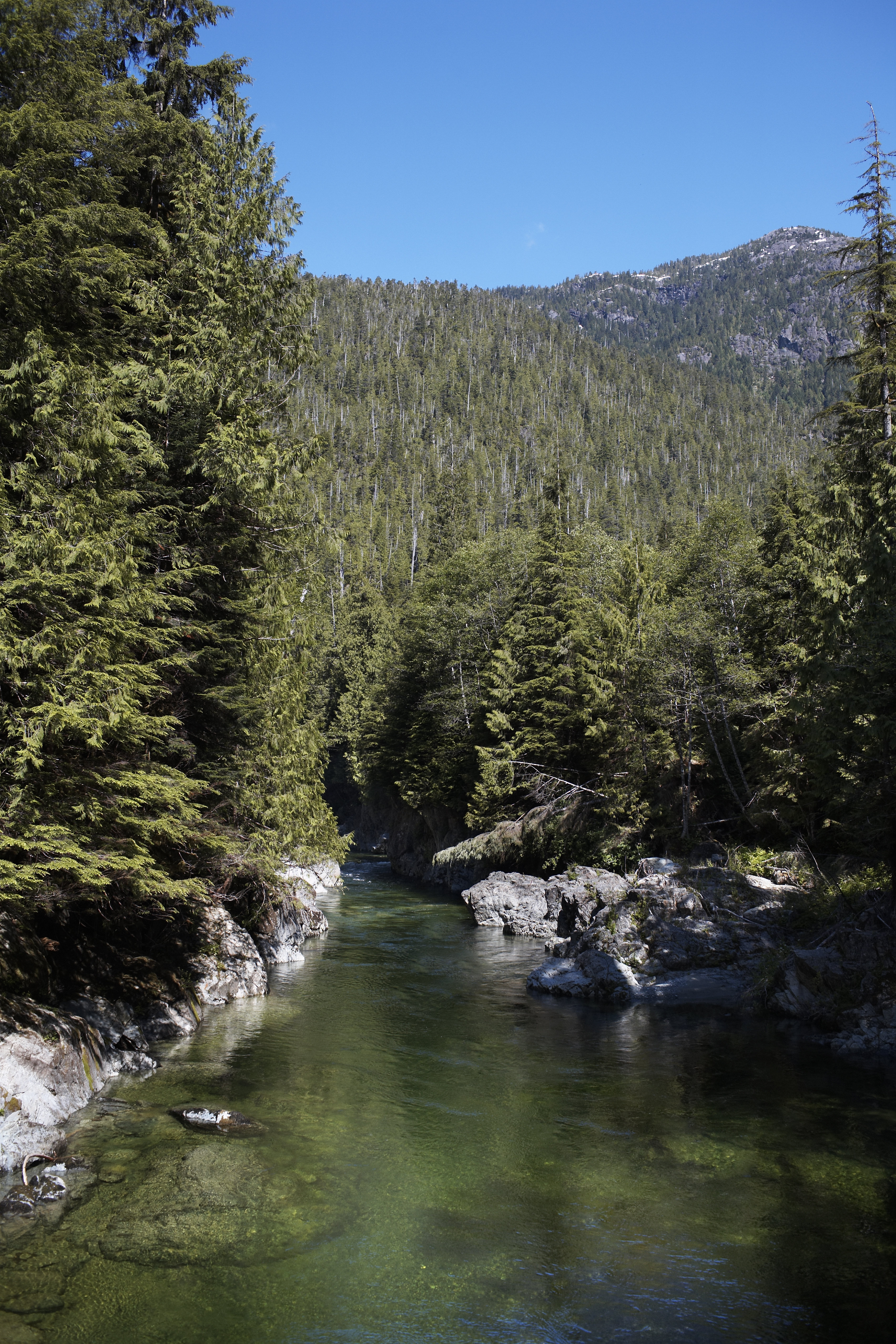 Alpen Home River Running Through Forest And Mountains. by Ryan McVay ...