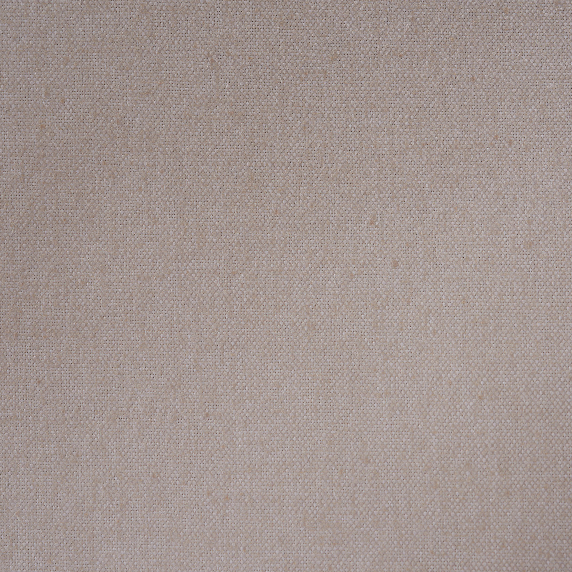 Schumacher Cecil Cotton Chintz Fabric | Perigold