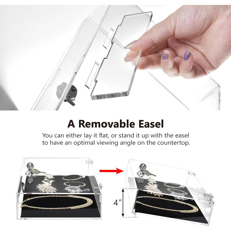 Rebrilliant Nectara Lockable Acrylic Display Case | Wayfair