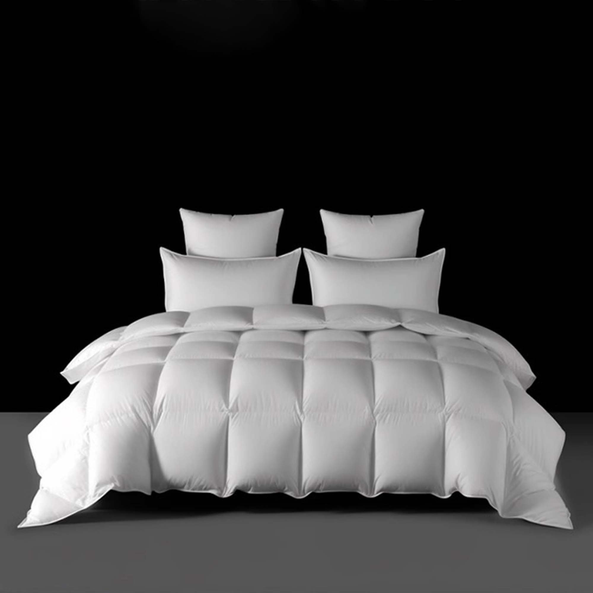 Latitude Run® 650 FP All Season Goose Feathers Down Comforter,Hotel ...