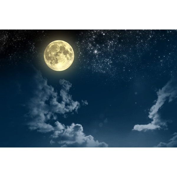 17 Stories Laykyn Beautiful Fullmoon - Wrapped Canvas Photograph ...