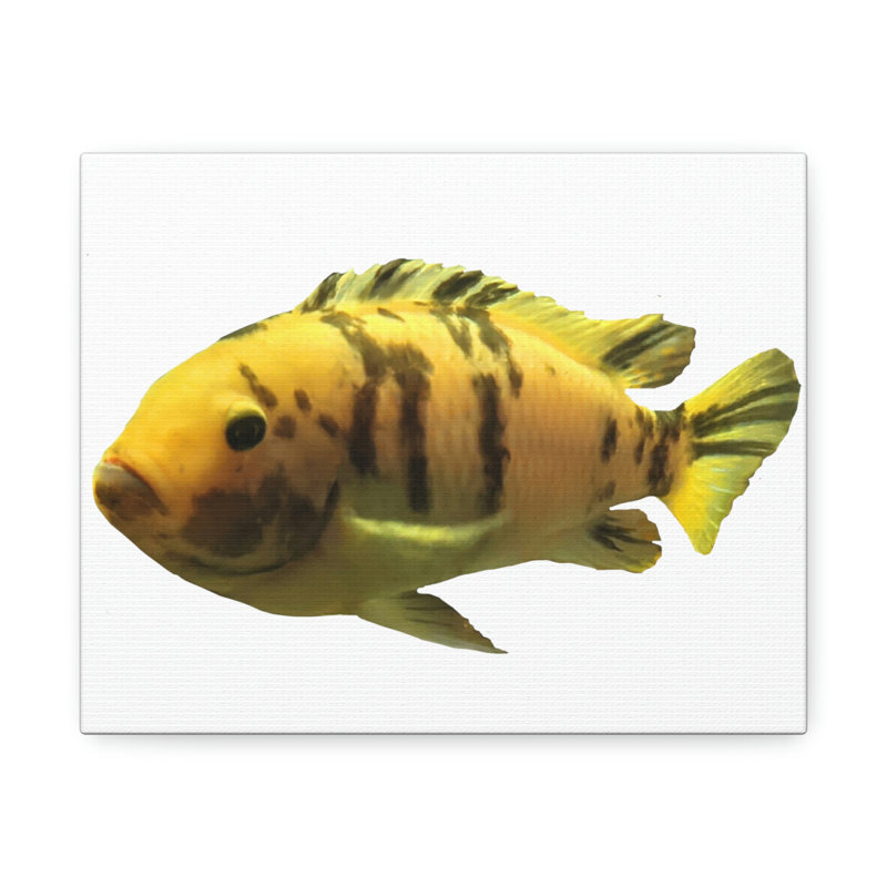 Rosecliff Heights Yellow Fish - Wrapped Canvas Illustration | Wayfair