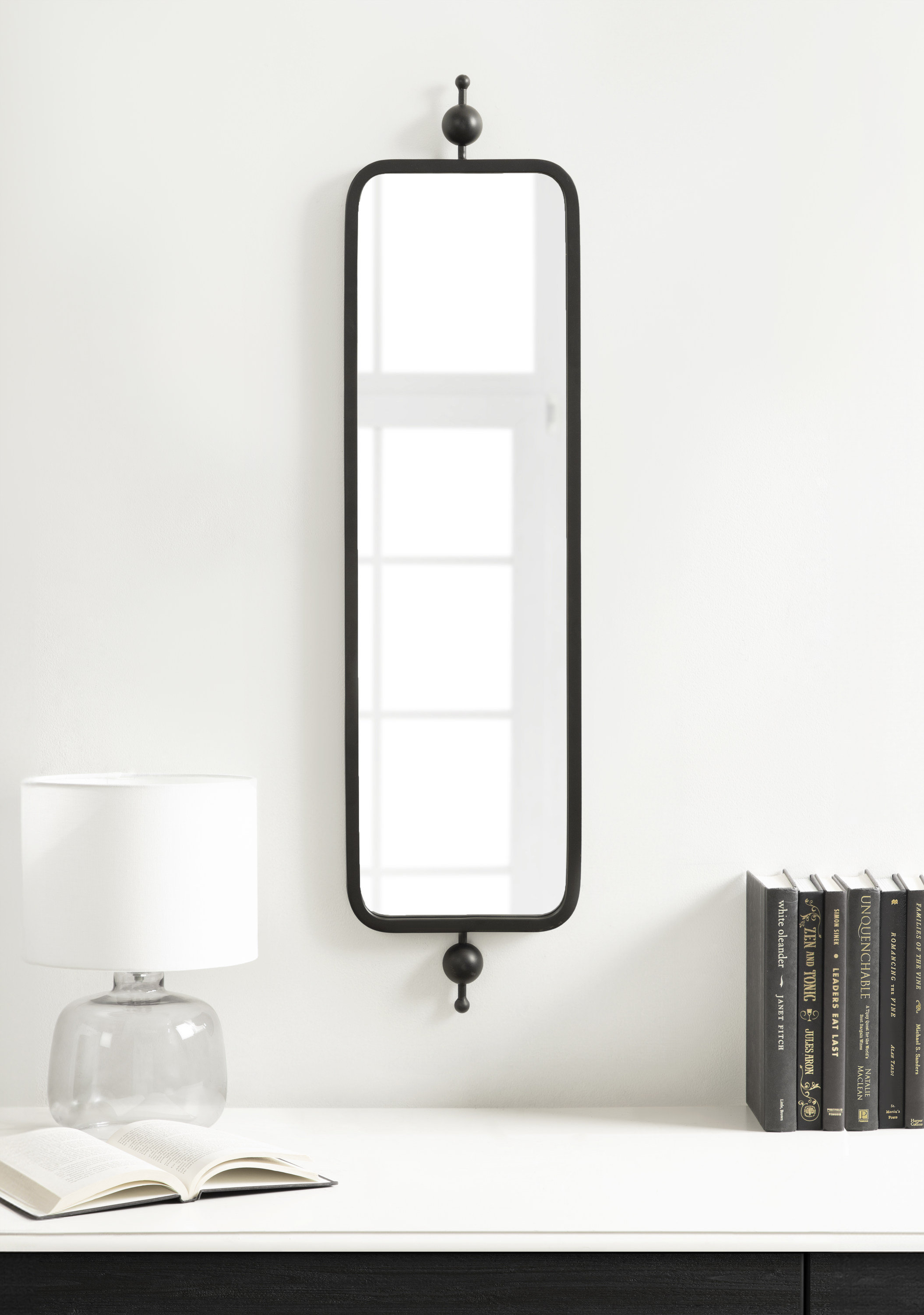 Charlton Home Rectangle Skinny Panel Mirror - Wayfair Canada