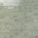 Apollo Tile 2.56'' W x 15.75'' L Ceramic Subway Singular Tile - Wayfair ...