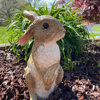 Design Toscano Hopper, the Bunny, Standing Garden Rabbit Statue ...