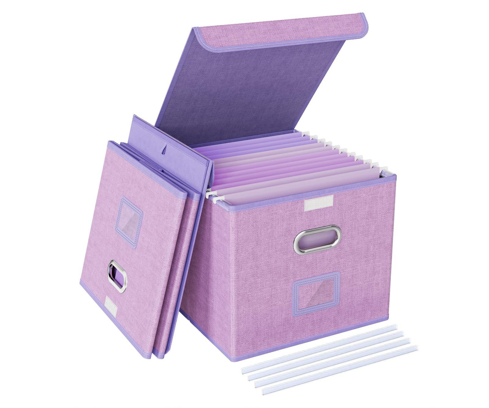 APPENIN WINTER PARK CORP 2 Pack File Organizer Box,File Box,Small File ...