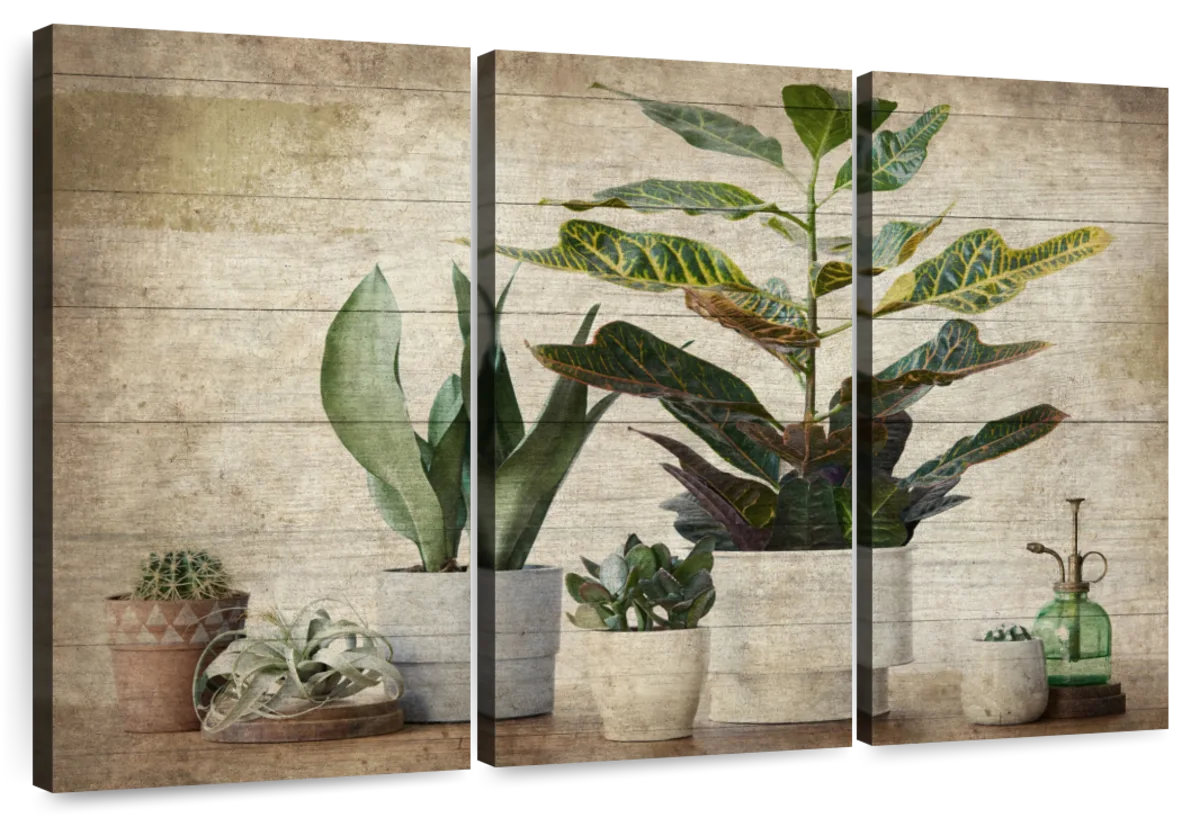 Lark Manor™ Harnek Wooden Indoor Plants | Wayfair